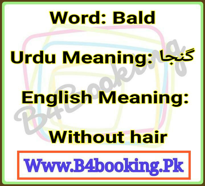 Bald Meanings In English And In Urdu Its Pronunciation bald-meanings-in-english-and-in-urdu-its-pronunciation